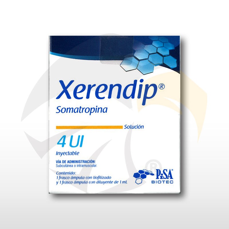 xerendip